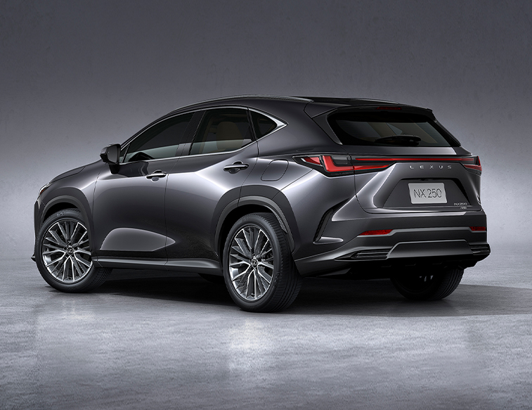 Lexus Qatar Official Site